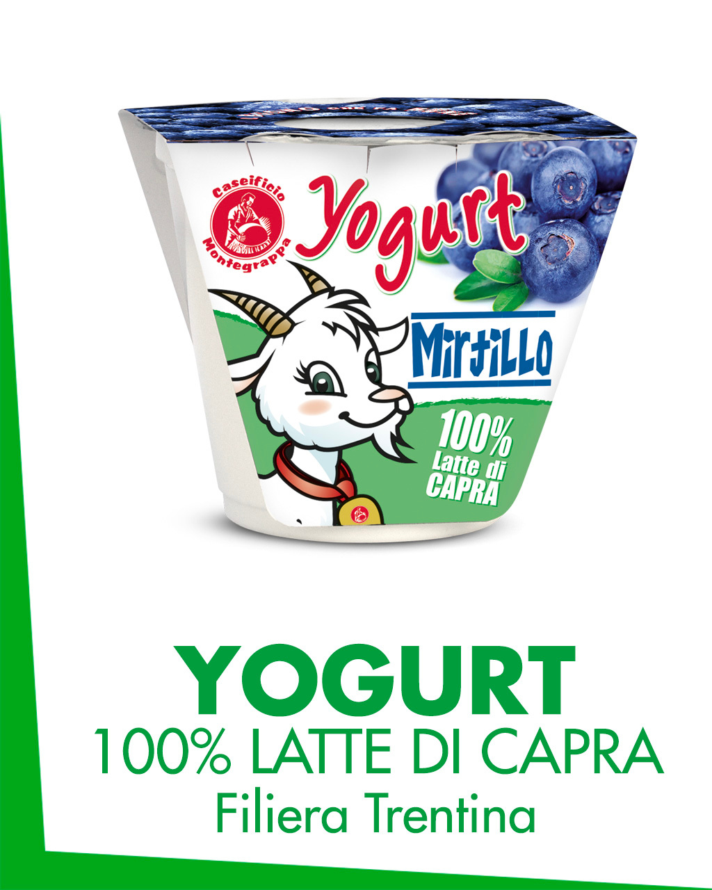 Yogurt di latte di capra al mirtillo Yogurt di latte di capra al mirtillo